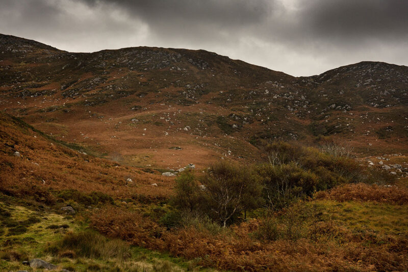 The Importance of Blanket Bog Restoration in Ireland - Energy Efficiency